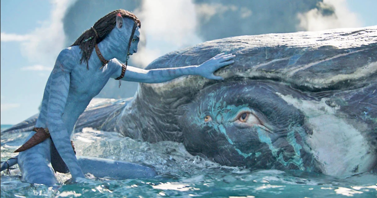 Avatar 2, gli sceneggiatori svelano il mistero del "Na'vi Jesus" di ...