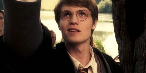 Harry Potter: Chi sono i Malandrini e cosa c'entrano con la mappa del ...