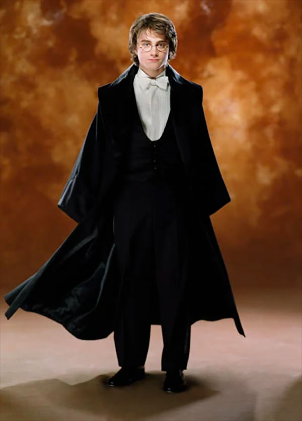 Harry Potter: Il Ballo del Ceppo | NerdPool